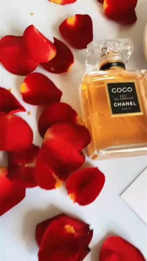 Купить Коко Шанель — духи и парфюм Сoco Сhanel — цена и описание ...