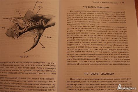 Книга: Осознанное замужество и материнство. На стыке физиологии ...