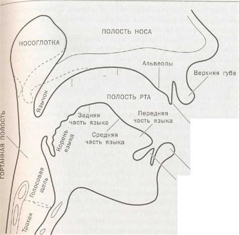 Артикуляционный подход