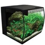 碧湖 Pak Wo Aquarium