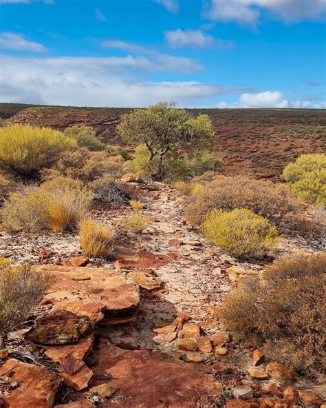 HOW TO HIKE THE LOOP AND NATURES WINDOW TRAIL KALBARRI NATIONAL PARK