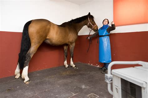 Gynäkologie und Andrologie