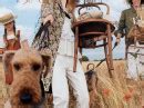 Honey & Crocus Jo Malone London perfume - a new fragrance for women and ...