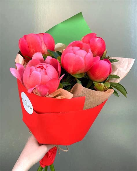 Пионы в горшке (23 фото)