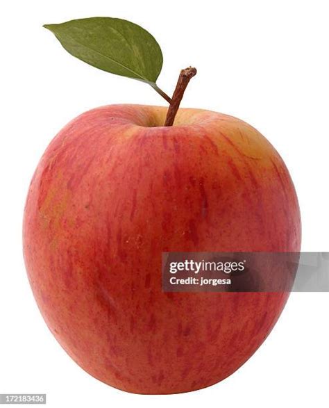 20,264 Largest Apple Stock Photos, High-Res Pictures, and Images ...