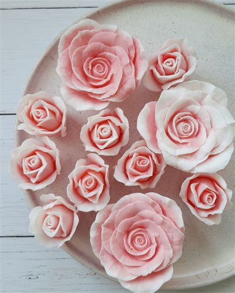 Мыло розы | Rose, Flowers, Plants