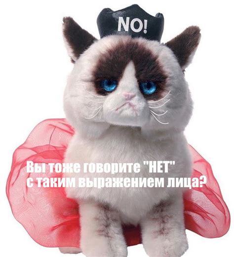 ТОП-12 весёлых мягких игрушек с самыми смешными мордочками