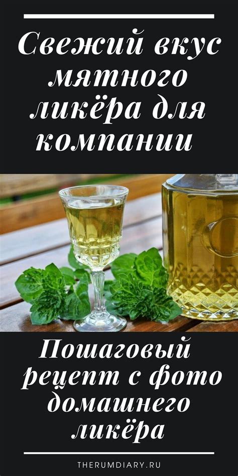 Рецепт домашнего ликёра из мяты на водке и спирту рецепты коктейля ...