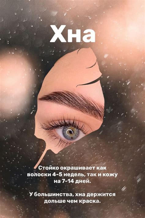 Рубрики бровиста в 2022 г | Брови, Тонировка бровей, Корекция бровей ...