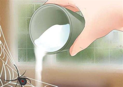 Как избавиться от пауков в доме - wikihow