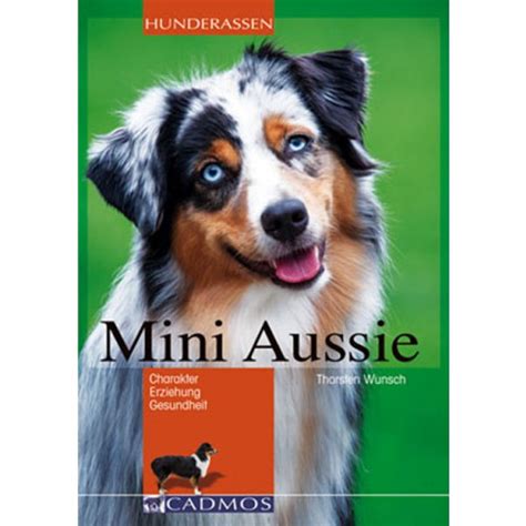 Der Mini Aussie – SitzPlatzFuss