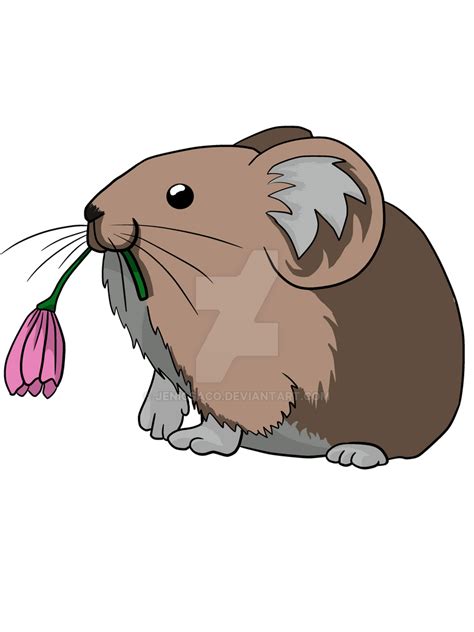 Pika Pika by Jenicsaco on DeviantArt