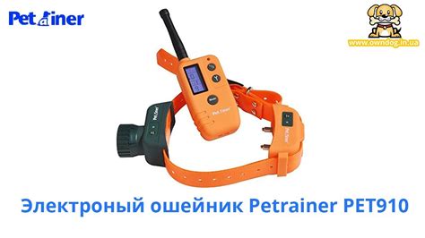 Шоковый ошейник с Бипером для охотничьих собак Petrainet PET910 - YouTube