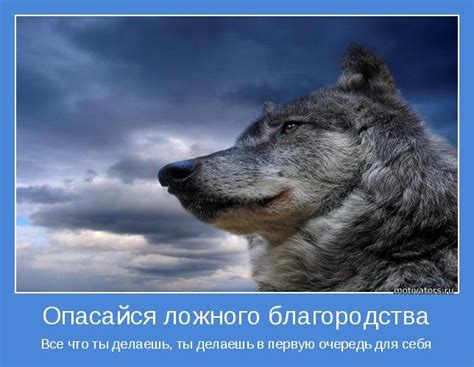 Мотиваторы