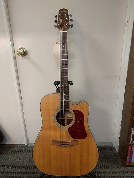 Walden D560TCP Acoustic Guitar | Reverb