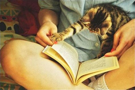 Книги, кошки, счастье!!!