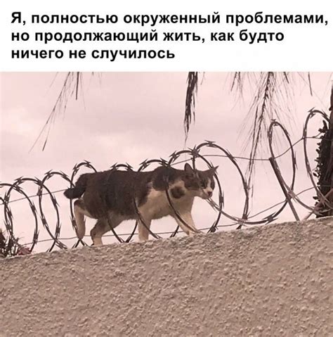 Смешные картинки со всего интернета / Приколы