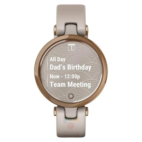 Garmin Lily - Bilderstrecken - WinFuture.de