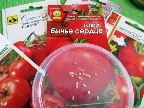 В чем замачивать семена перед посадкой на рассаду