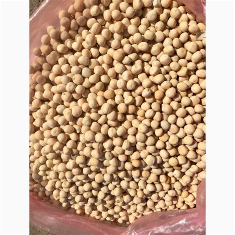 Купуємо горох на переробку — Agro-Ukraine