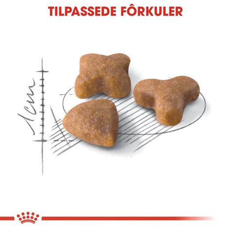 Royal Canin Sensible Adult tørrfôr til katt | Musti