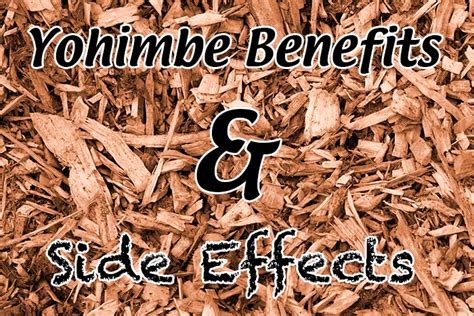 Yohimbe Benefits and Side Effects - Healthy Focus