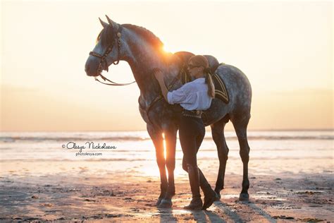 лошади / человек и лошадь horse and human
