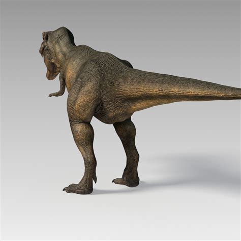 t-rex – RIG-IT