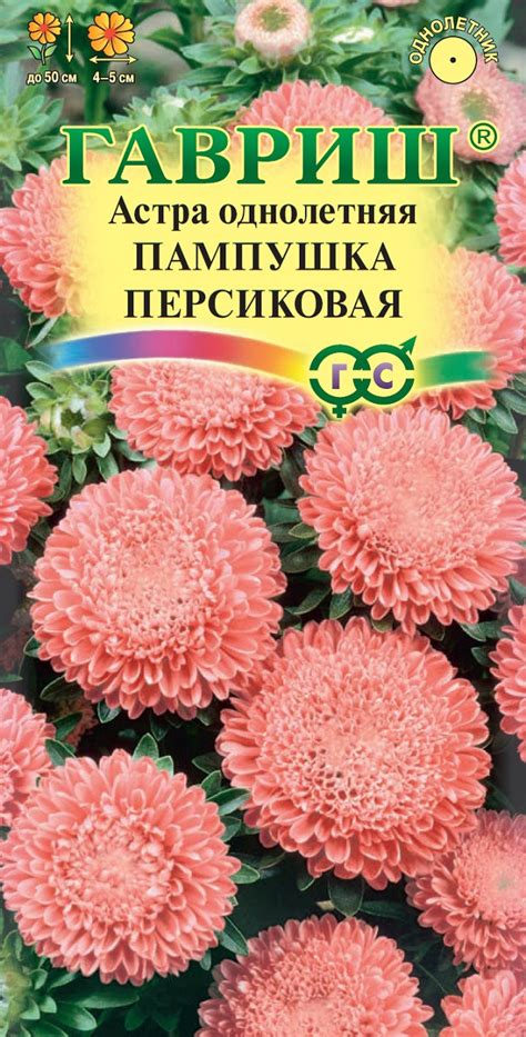 Семена Астра Пампушка персиковая, помпонная, 0,3г, Гавриш, Цветочная ...