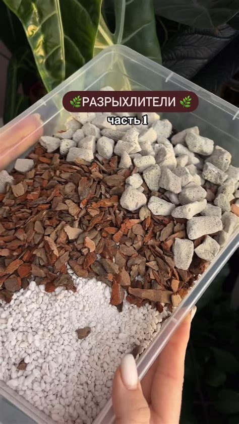 Ирина / Ландшафтный дизайн/ Цветочная ферма/ Фитодизайн (@bel_lapianta ...