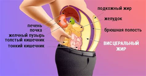 Как убрать висцеральный жир