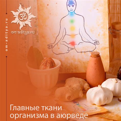 Главные ткани организма в аюрведе,