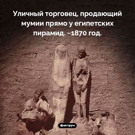 Торговля мумиями