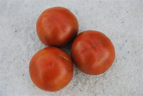 Томат Супер Марманде (Super Marmande) – отличный вкус
