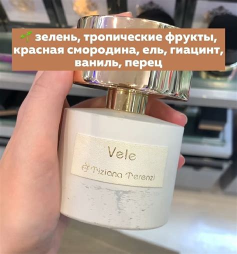 Пин от пользователя Заяц 🐰 на доске BEAUTY в 2022 г | Духи, Тропические ...