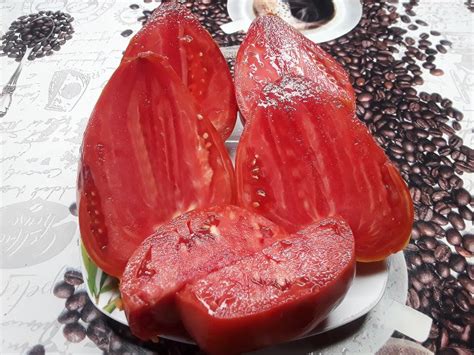 Семена:Томат Медвежье Сердце Красное.. Красноплодные сорта томатов ...