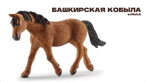Башкирская кобыла Шляйх - обзор (Schleich) - YouTube
