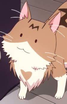 Metako (Machikado Mazoku) - MyAnimeList.net