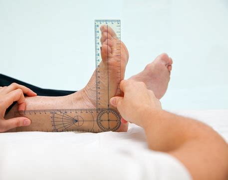 Goniometer 이미지 – 찾아보기 1,264 스톡 사진, 벡터 및 비디오 | Adobe Stock